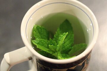 25+ Best Fresh Mint Recipes And How To Preserve Mint - West Coast ...