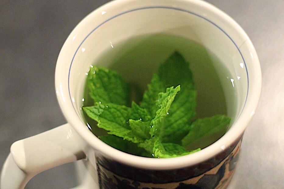 25+ Best Fresh Mint Recipes And How To Preserve Mint - West Coast ...