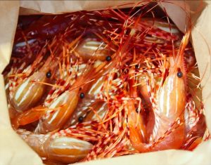 Wild West Coast Prawns In Tomato Fennel Broth And How to Grill Them ...