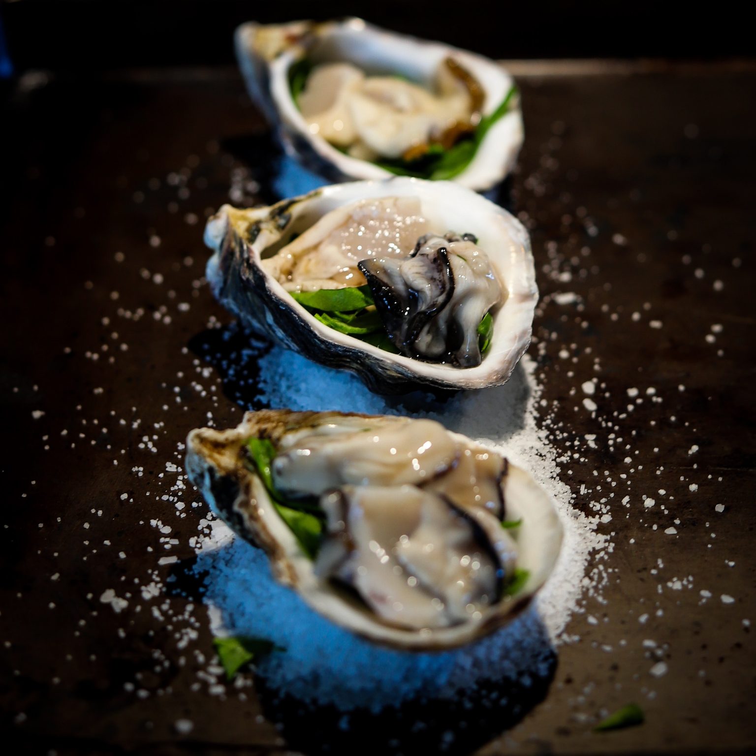 Miso Baked Oysters Quick Easy Japanese Style Recipe