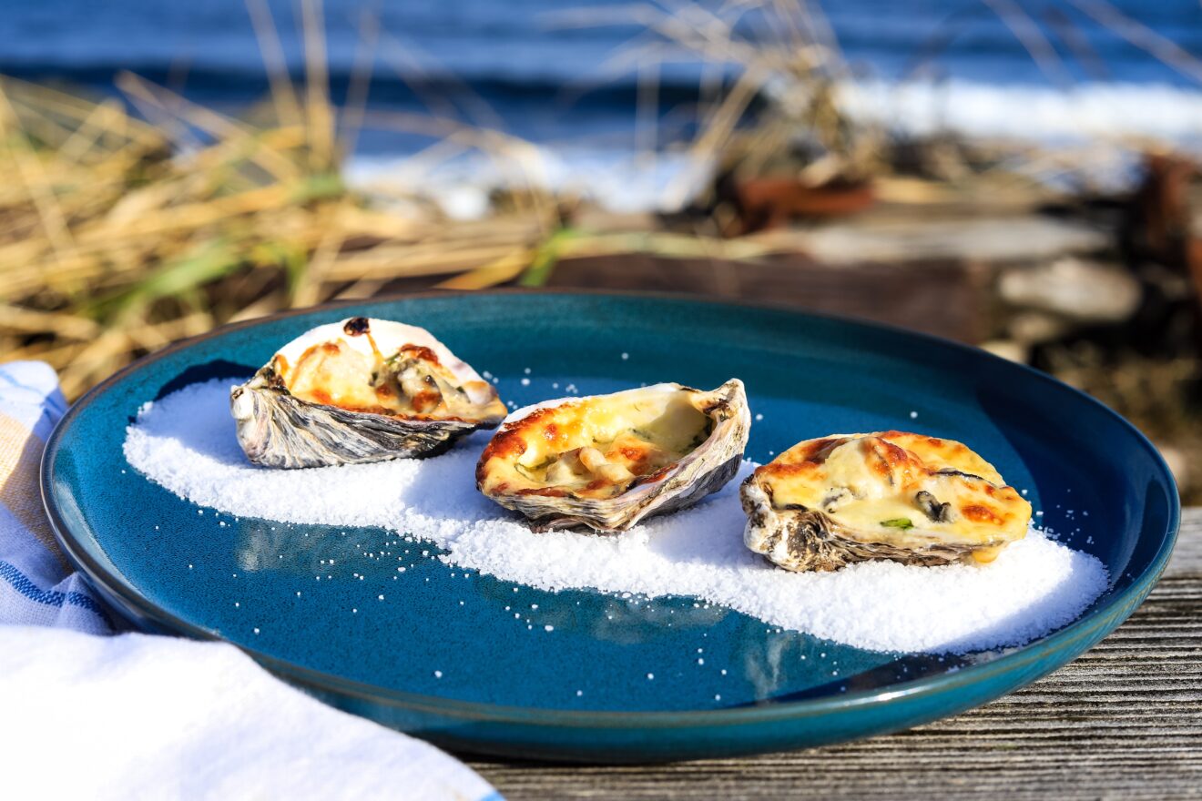 Find Your Own Food! Wild Foods To Forage In Spring