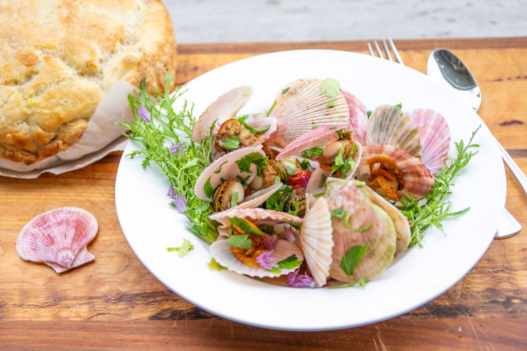 Sabrina Currie West Coast Kitchen Garden Writer Photographer Blog