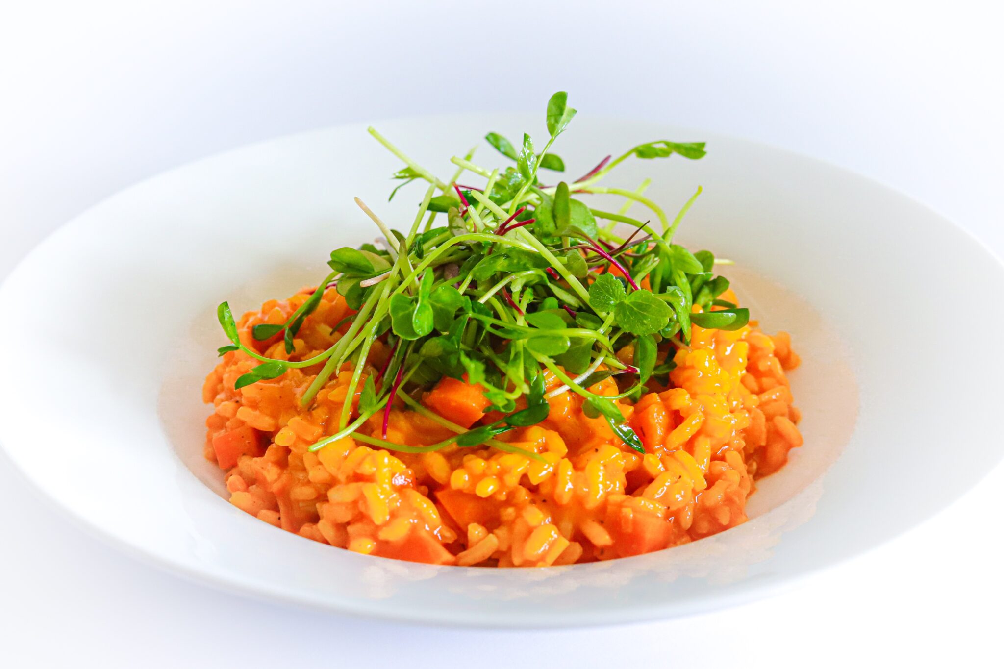 Best Microgreens To Grow Yourself And A Micro Pea Recipe To Use Them