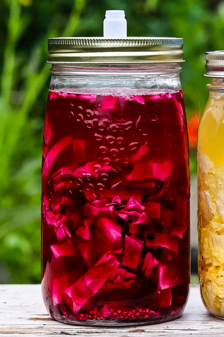 Red cabbage sauerkraut-naturally fermented pickled cabbage