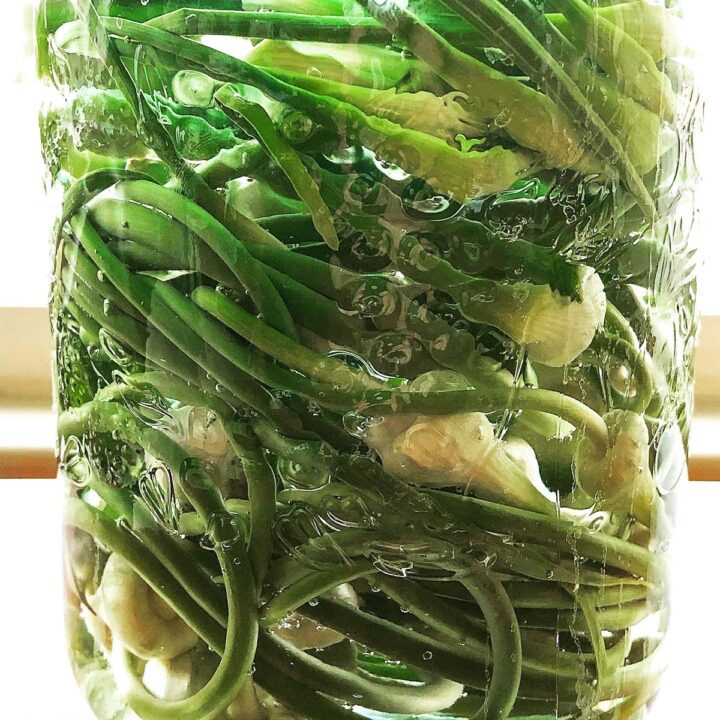 Lacto Fermented Garlic Scapes (Traditional Pickled Garlic Scapes ...
