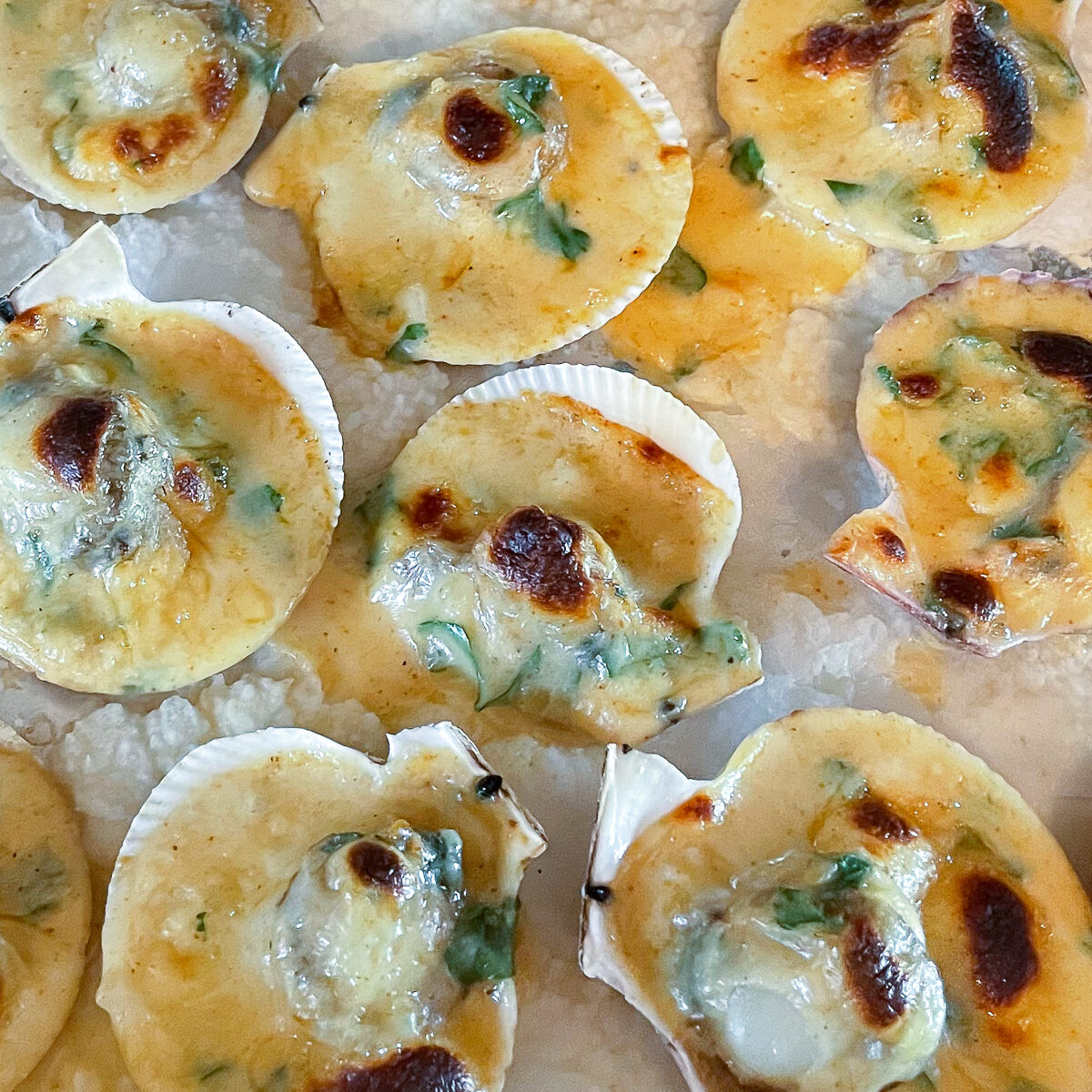 Broiled Scallops In Shell - West Coast Kitchen Garden