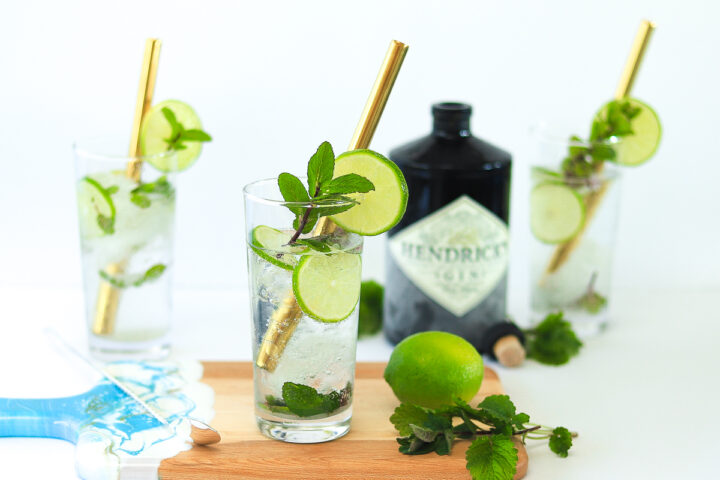 50+ Best Fresh Mint Recipes And How To Preserve Mint - West Coast ...