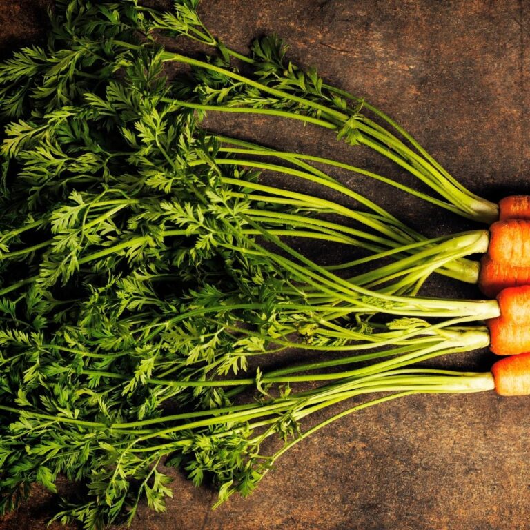 The Best Herbs To Substitute For Parsley In Recipes - West Coast ...
