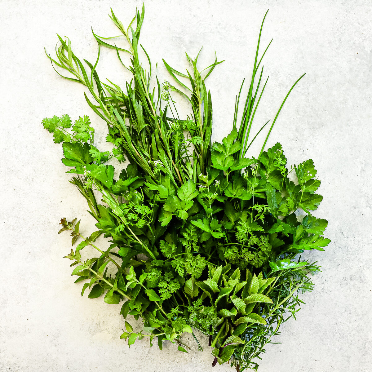 The Best Herbs To Substitute For Parsley In Recipes - West Coast ...