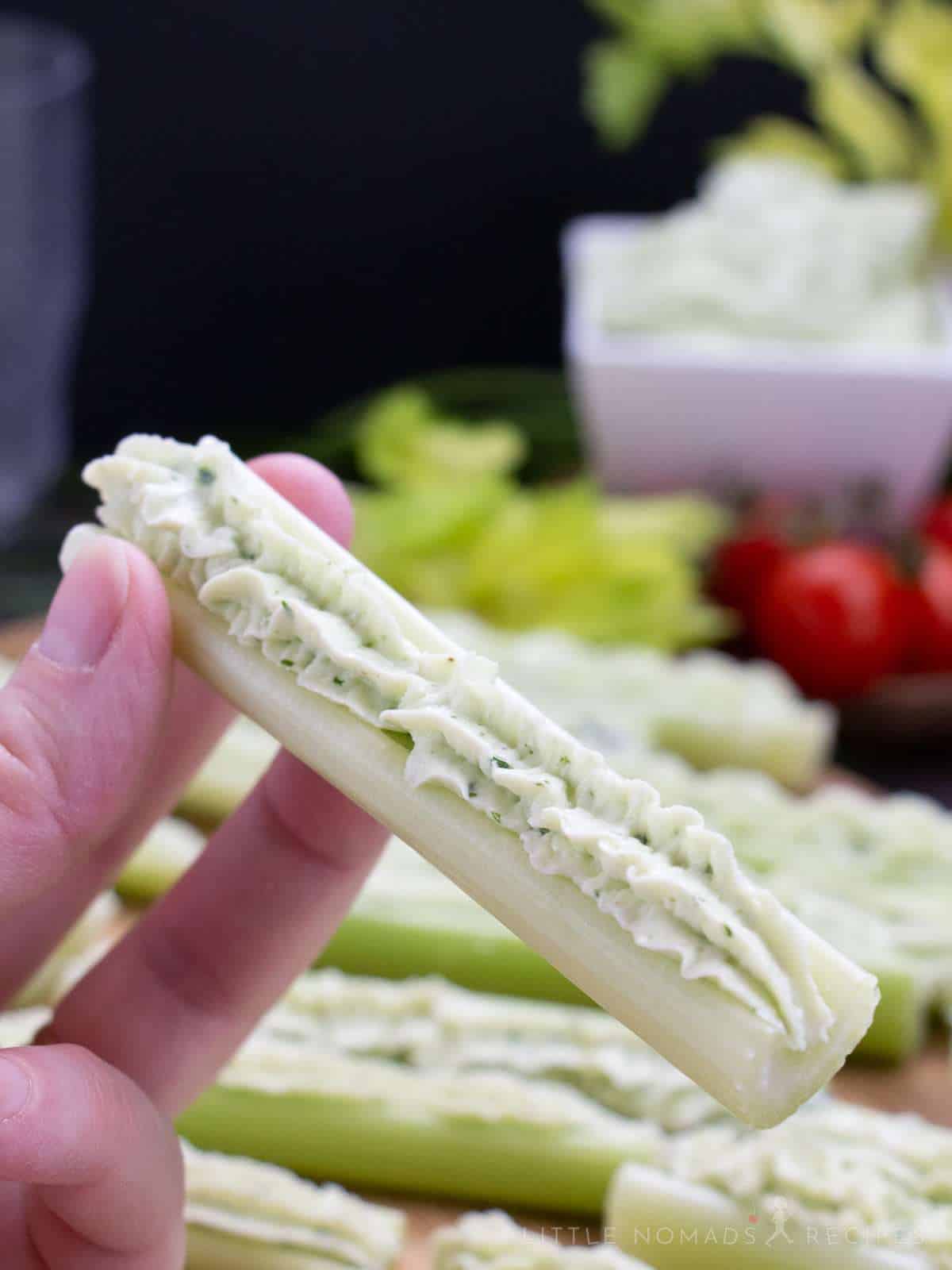 Best Celery Snacks And Appetizers For kids And Adults - West Coast ...