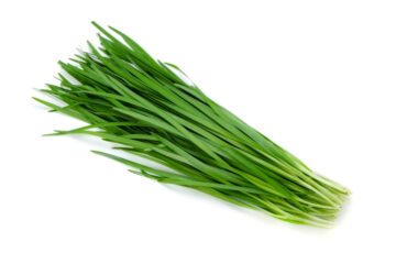 The Difference Between Garlic Chives vs Onion Chives - West Coast ...