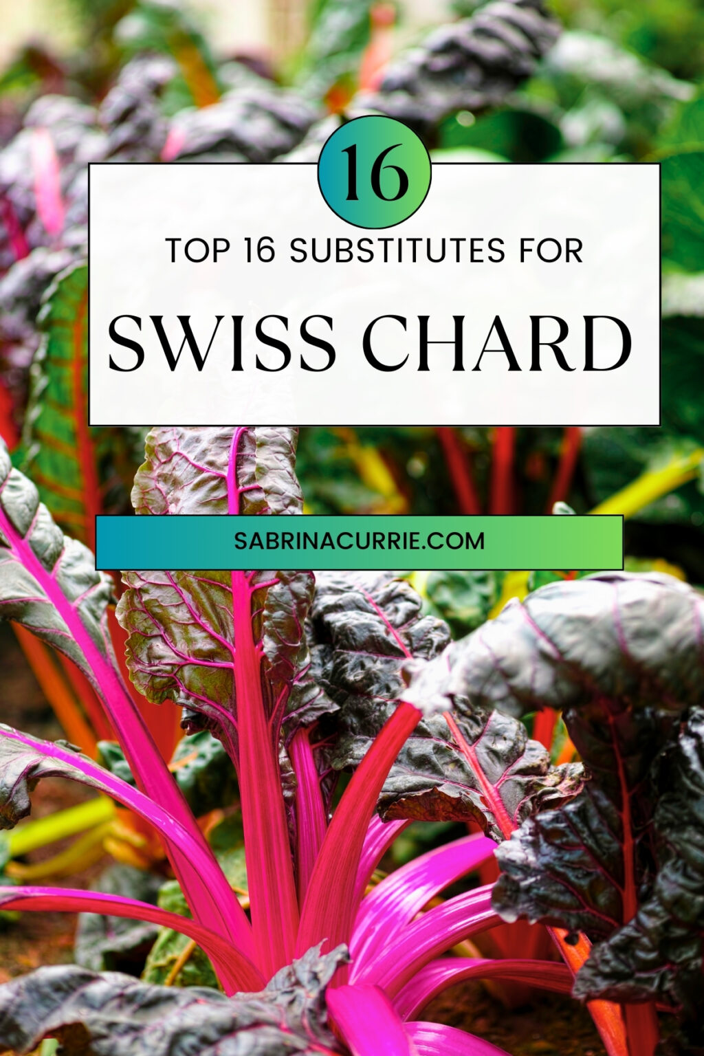 16 Best Substitutes for Swiss Chard in Every Recipe - West Coast ...