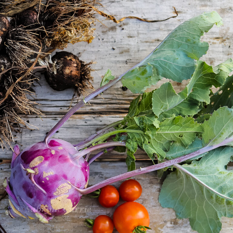 16 Best Substitutes for Swiss Chard in Every Recipe - West Coast ...