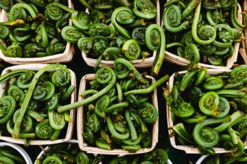 Easy Sautéed Fiddlehead Recipe With Garlic And Ginger - West Coast ...