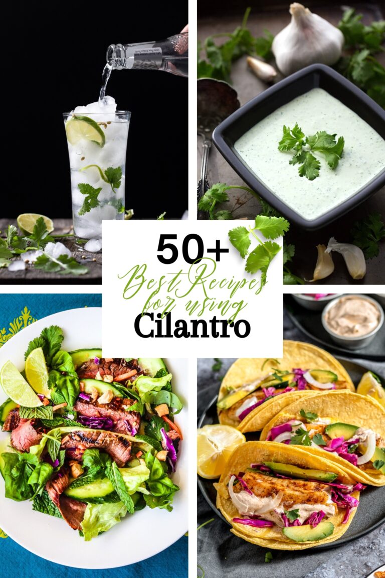 50+ Best Cilantro Recipes To Use Fresh Coriander - West Coast Kitchen ...